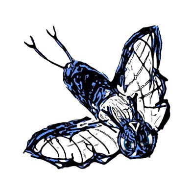 FlyPaper Audit - SourceHat Smart Contract Audit