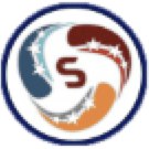 Synergy Nodes Smart Contract Audit by SourceHat